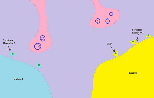 Here’s why LSD microdosing could be the next major breakthrough in ...