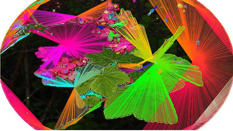 Black Americans Are Building A Space In Psychedelic Drug Culture After ...